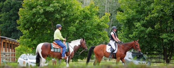 VDRC — Vernon District Riding Club